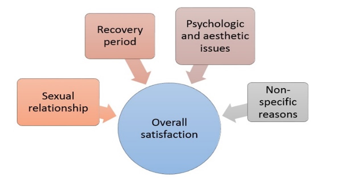 Outcomes and patient’s point of view on the preferred THA approach ...